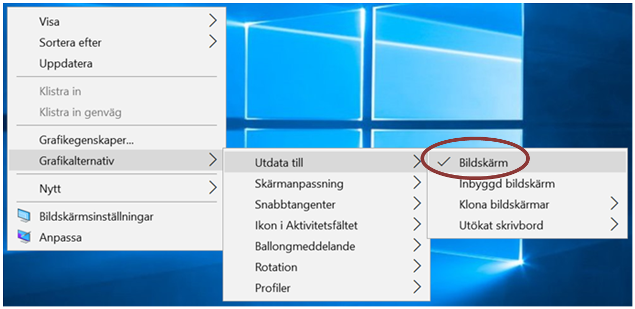 Anslut datorn till skärmen - SFV